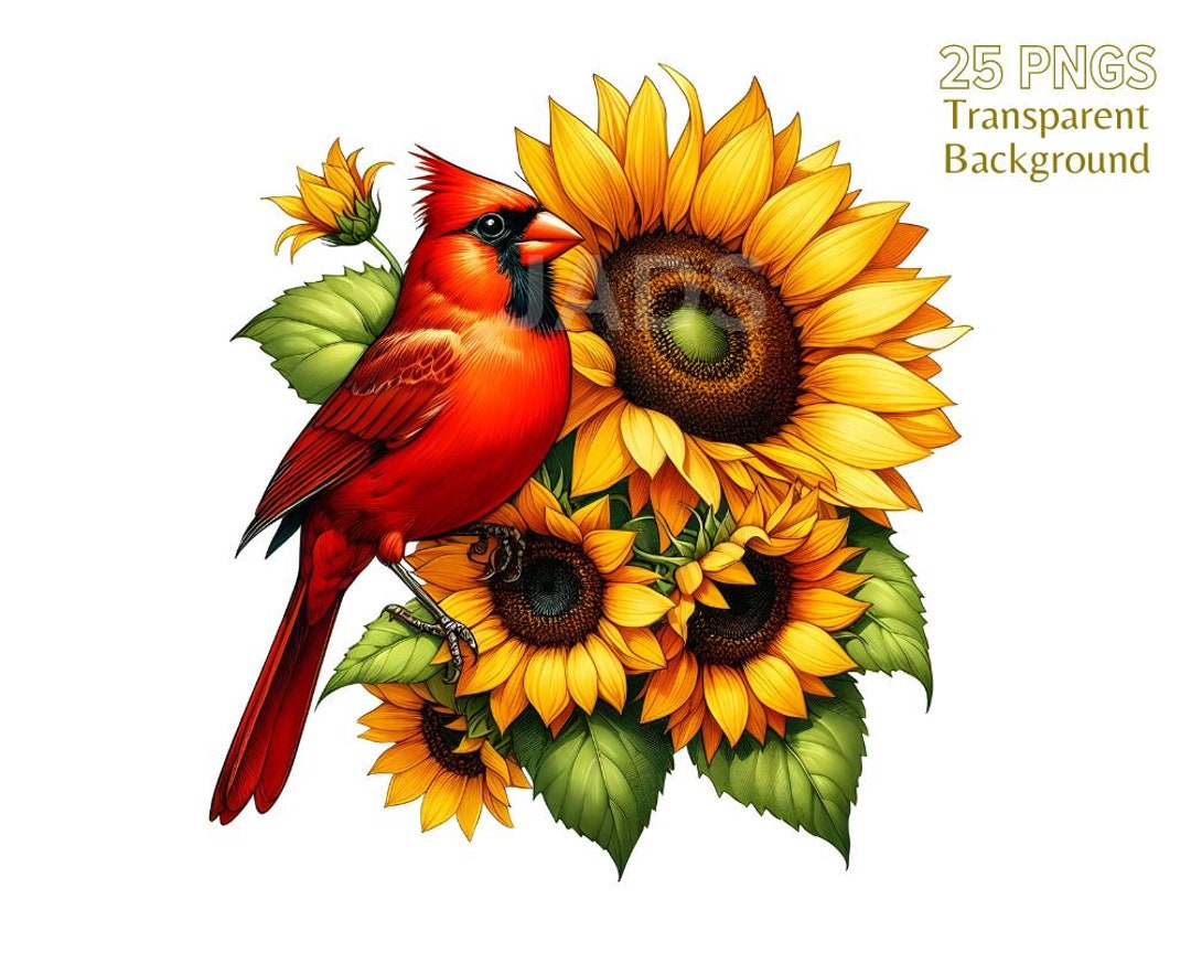 Red Cardinal & Flowers Clipart Bundle: Watercolor Bird PNG (commercial ...