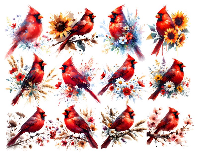 Abstract Red Cardinal Clipart Bundle: Watercolor Bird PNG (digital ...