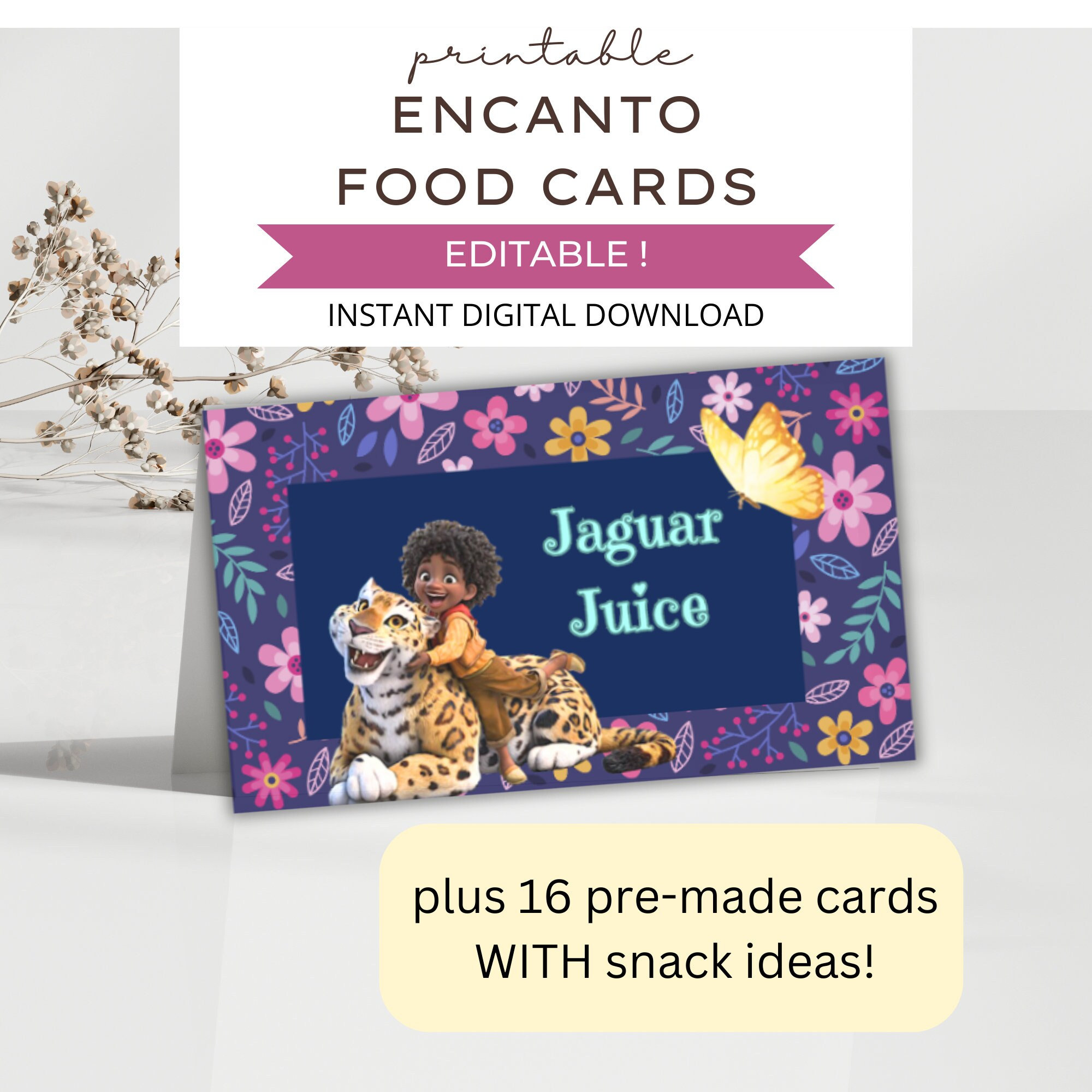 Editable Encanto Food Cards, Printable Encanto Food Label, Printable ...
