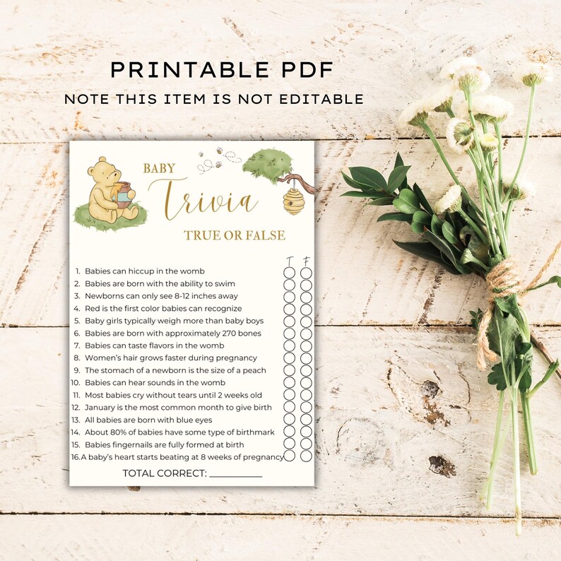 Winnie-the-pooh Baby Shower Trivia Game (digital Download) - Etsy