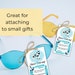 Editable Fish Extender Tags, Printable Cruise Fish Extend Tag ...