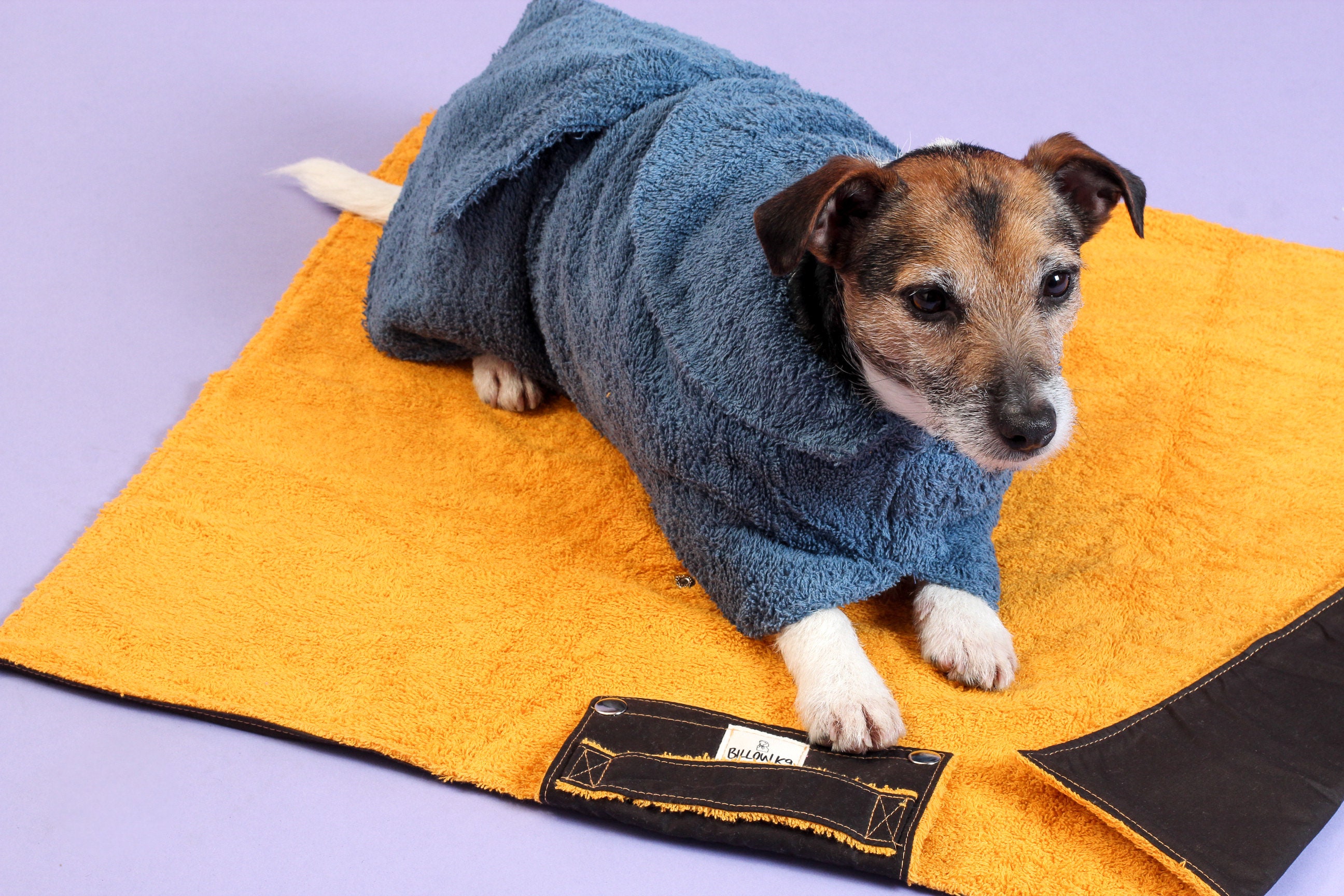 Dog Settle Mat | Terry Towelling Travel Blanket, Waterproof Mats, House ...