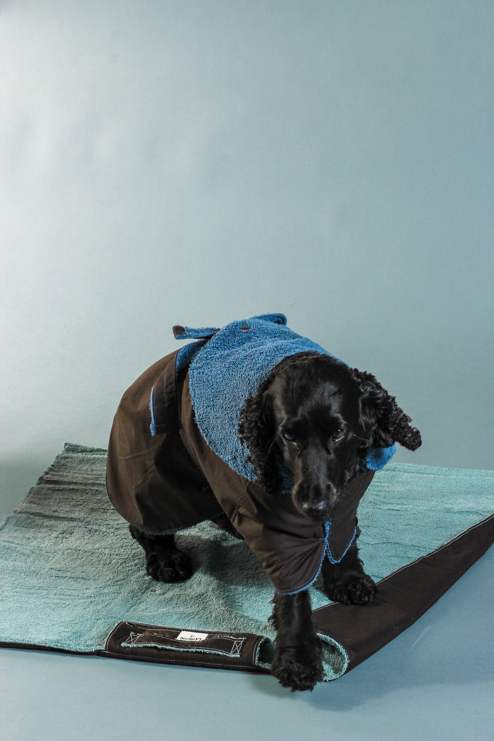 Dog Settle Mat | Terry Towelling Travel Blanket, Waterproof Mats, House ...