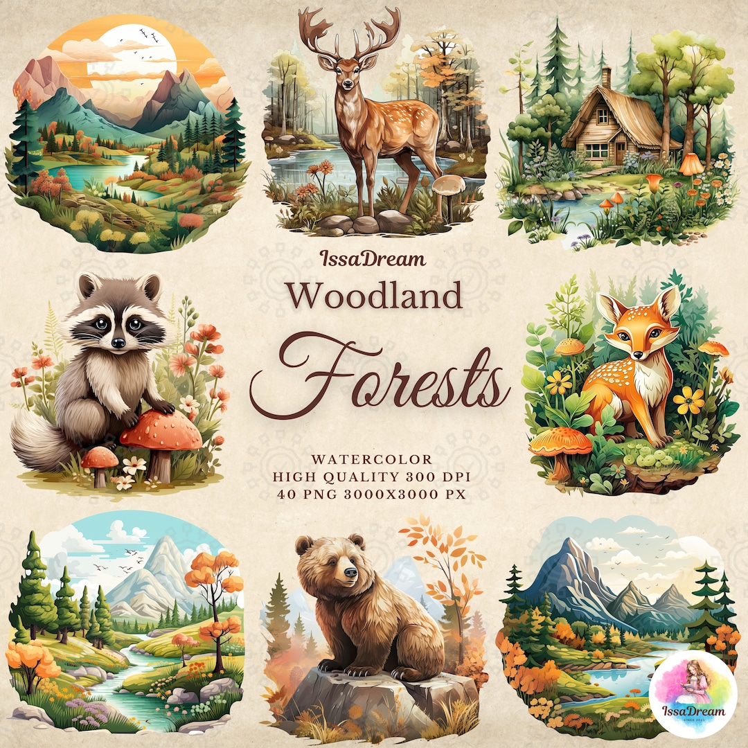 Watercolor Forest Clipart, Woodland Forests, Nature Landscape, Forest ...