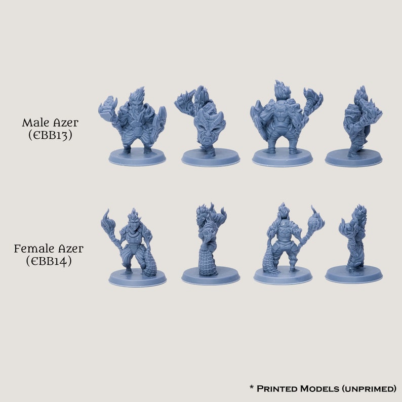 D&D Fire Plane Encounter Pathfinder Frostgrave 28mm 32mm Fantasy NPC PC ...