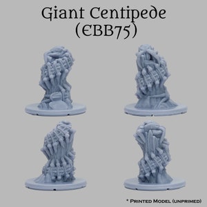D&D Pathfinder Giant Dire Animals Insects | 28mm 32mm Fantasy TTRPG ...