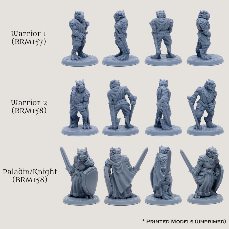 D&D Pathfinder Dragonborn Dragonkin Collection 28mm 32mm Fantasy ...