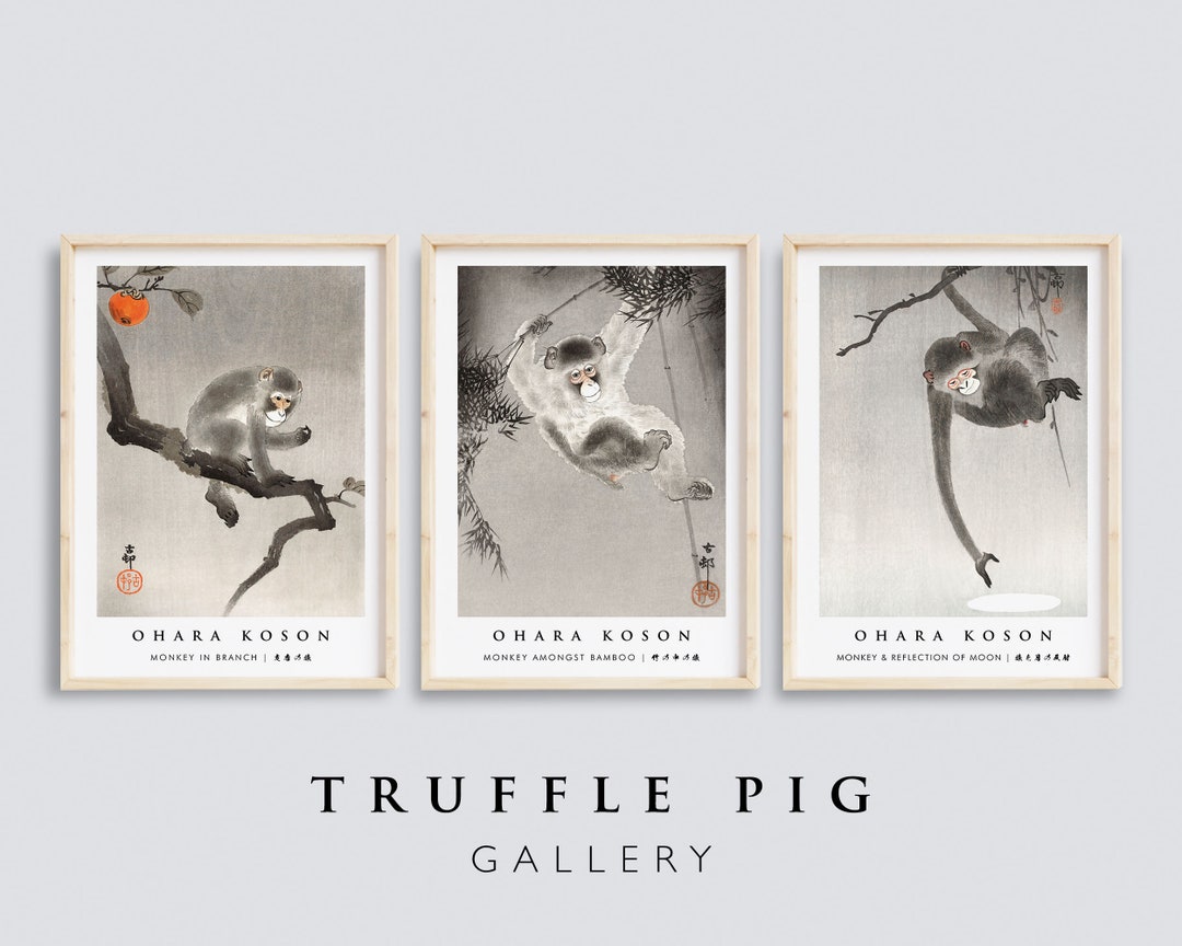 Ohara Koson's Monkeys Ukiyo-e Woodblock Nature Set of 3 - Etsy
