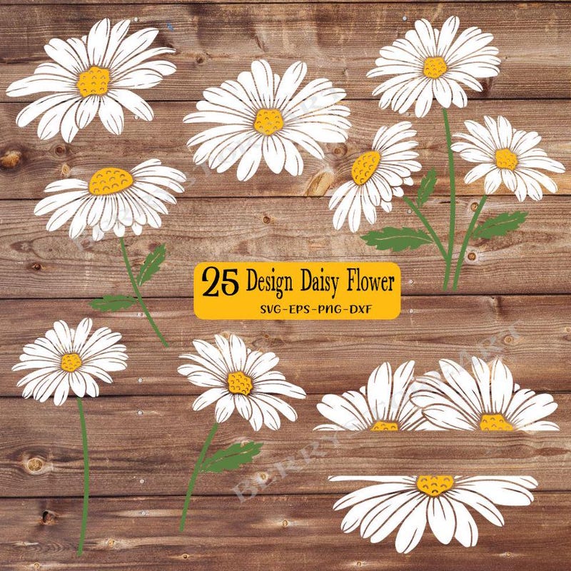 White Daisy Svg - Etsy