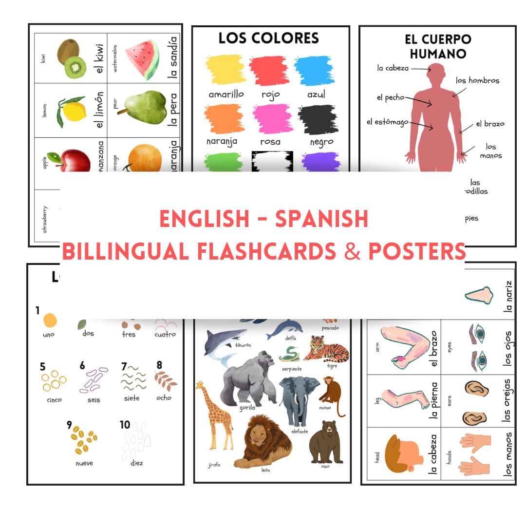 English Spanish Bilingual Flashcards and Posters MEGA BUNDLE - Etsy
