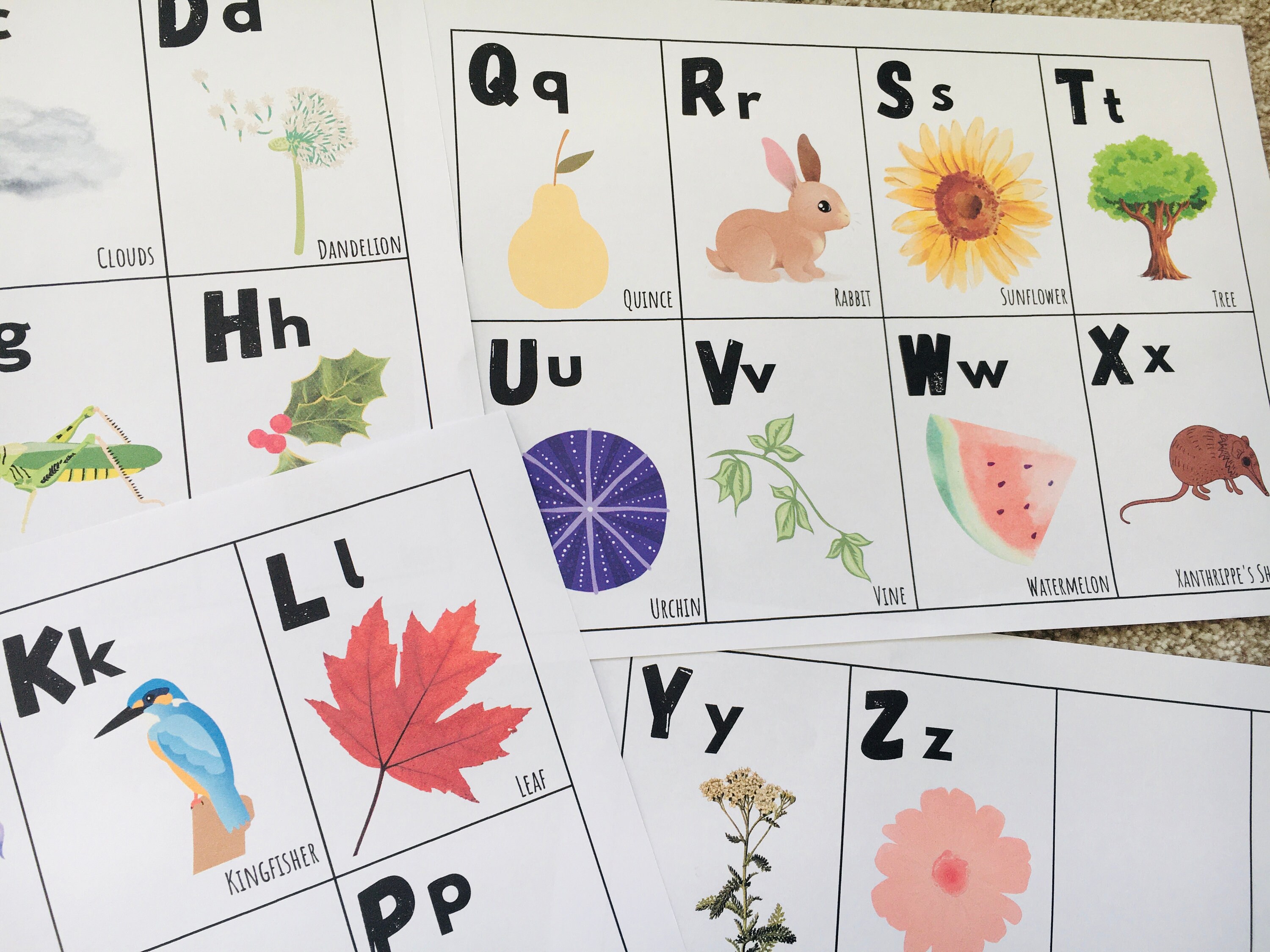 Printable Alphabet/phonics and Numbers Flashcards Morning - Etsy