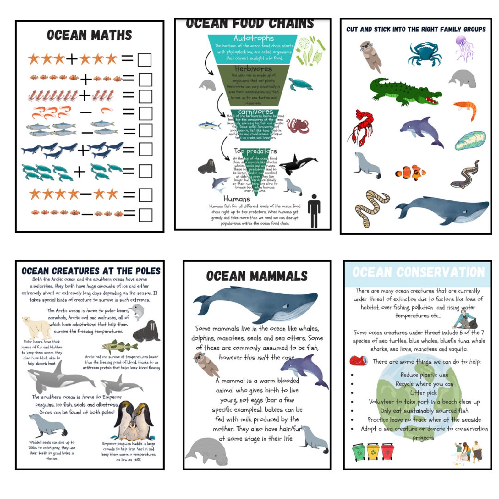 Ocean Unit Study Homeschool Resource. Sea Creatures, Sharks, Ocean ...