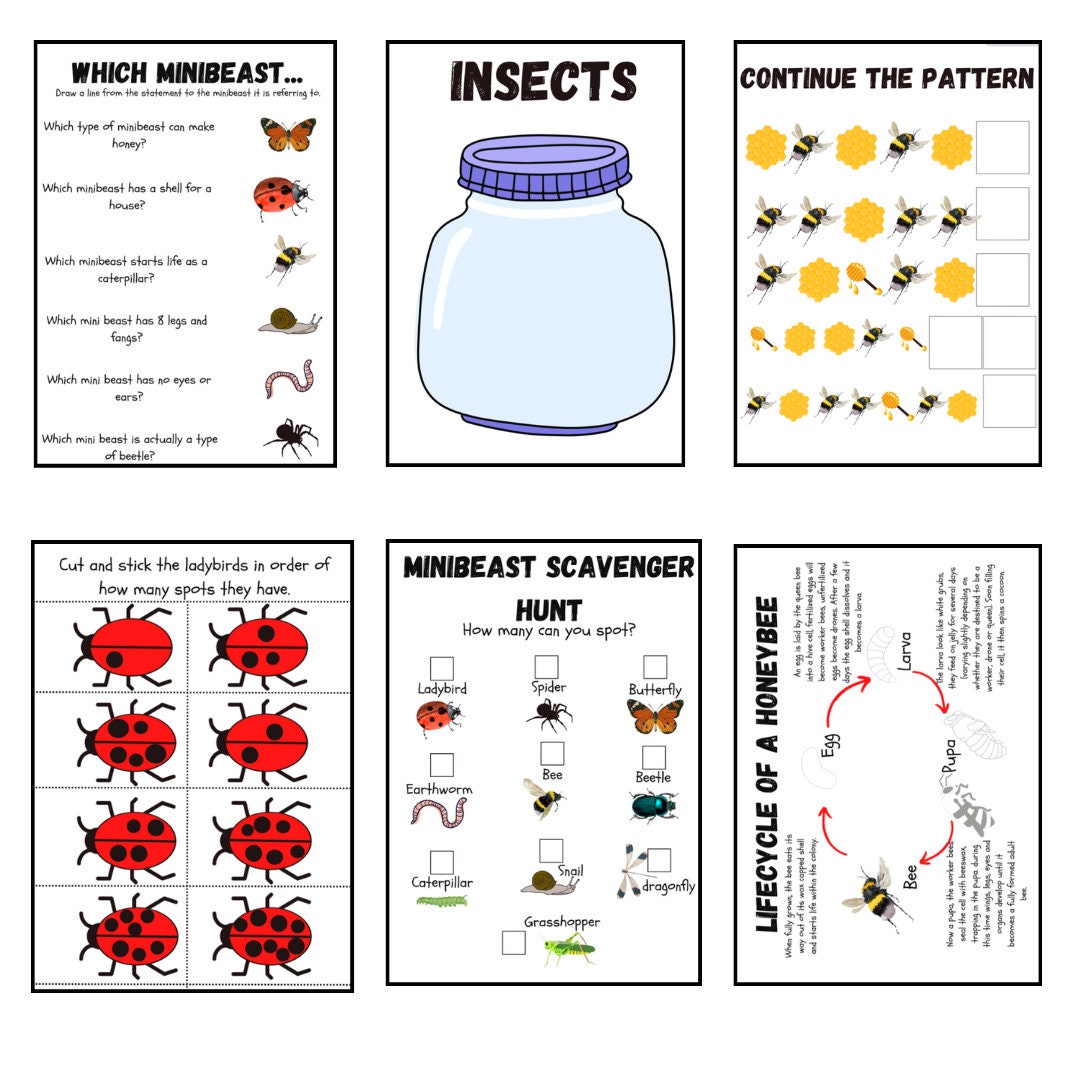 Minibeast Unit Study Printable Pack Homeschool Resource - Etsy