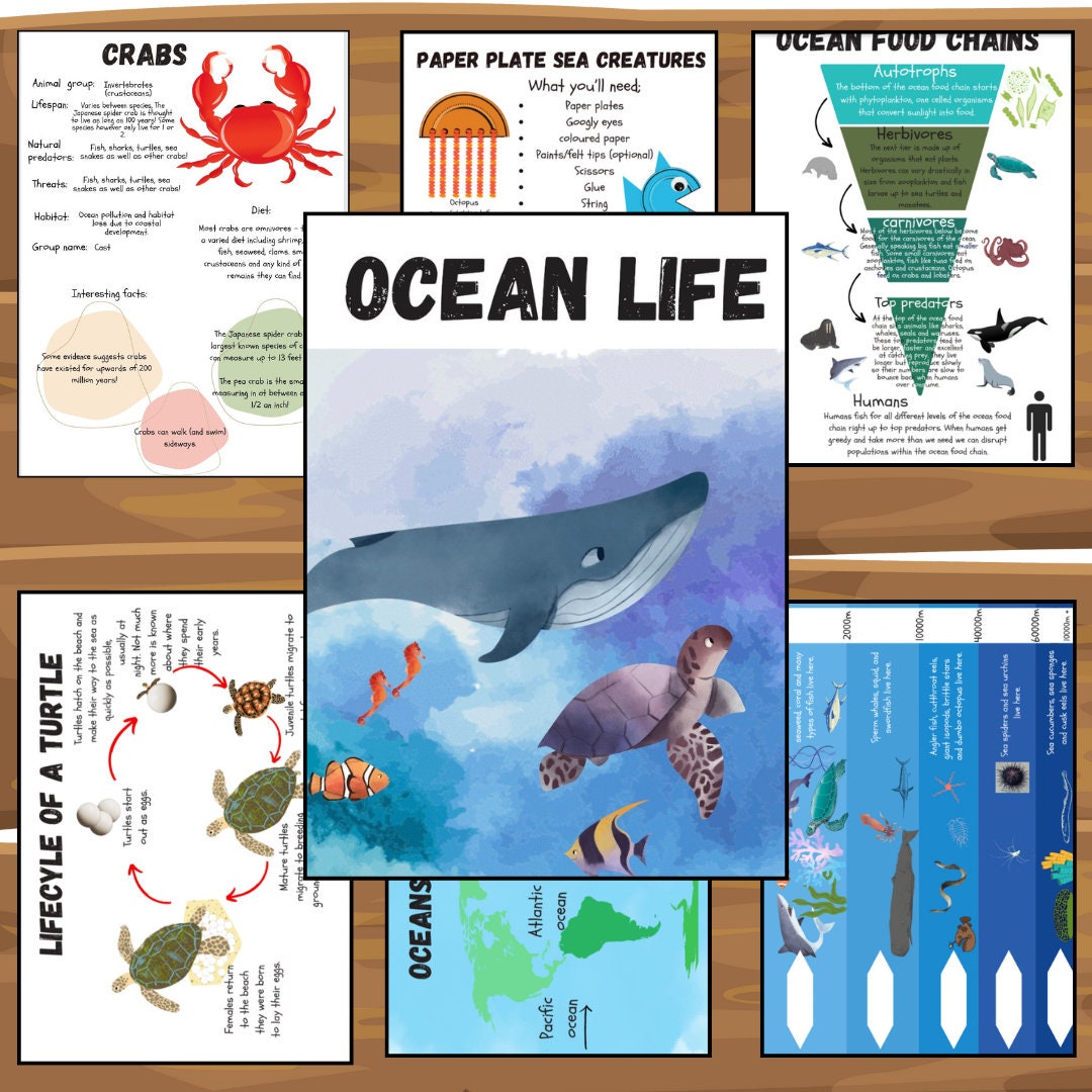 Ocean Unit Study BUNDLE Including 2 X Games Sea Creatures, Sharks ...