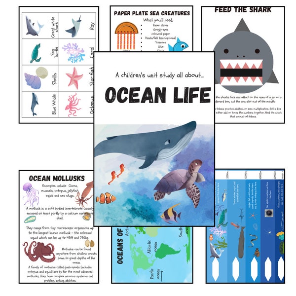 Ocean Sea Unit - Etsy