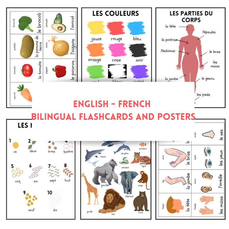 English French Bilingual Flashcards and Posters MEGA BUNDLE - Etsy