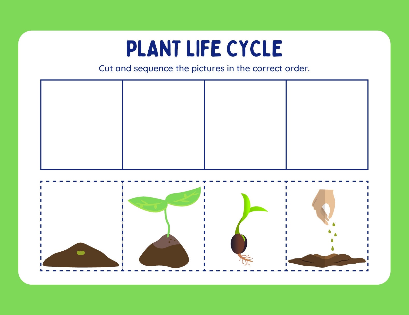 Plant Life Cycle Cut and Paste Worksheet - Etsy
