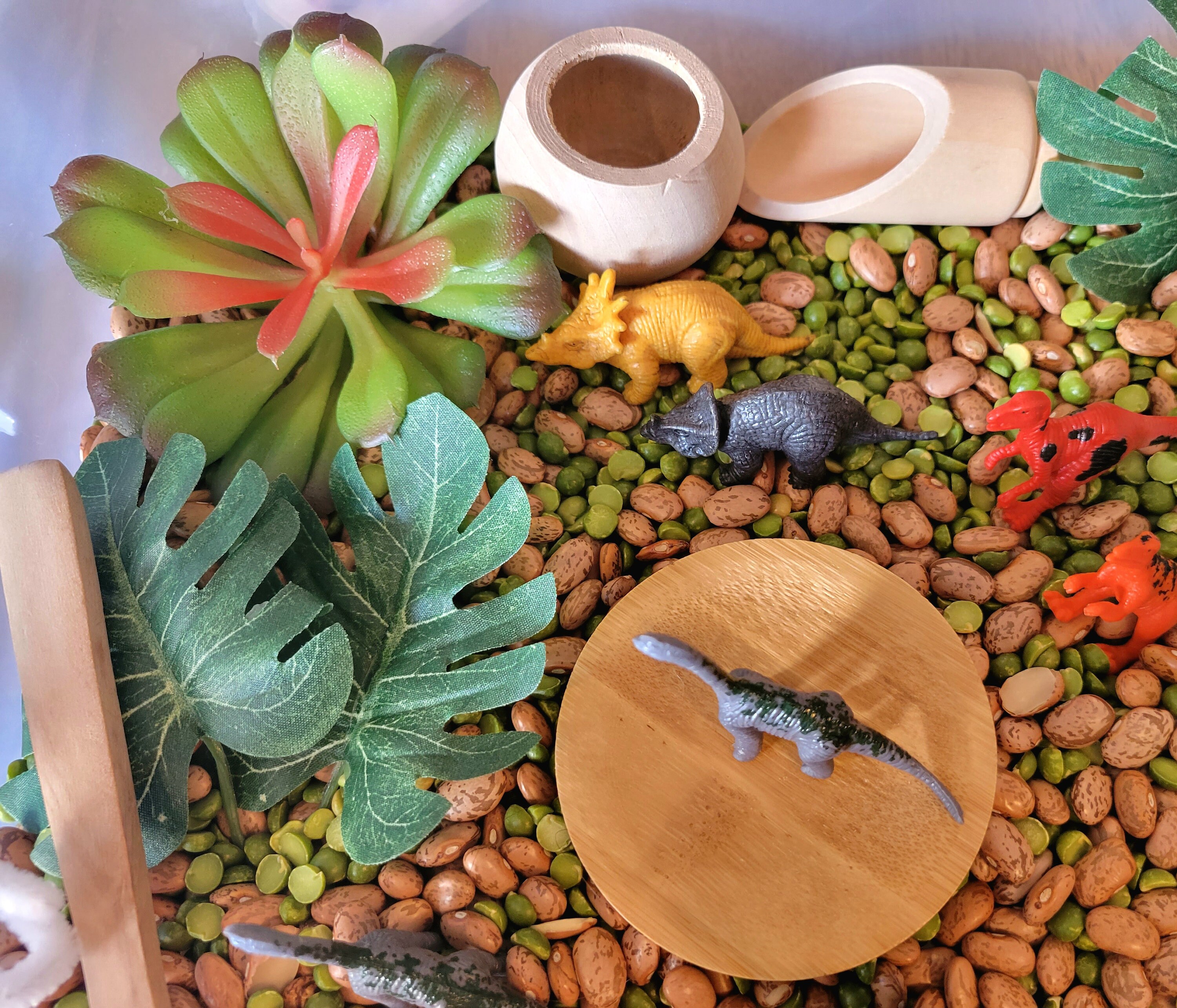 Dinosaur Sensory Bin - Etsy