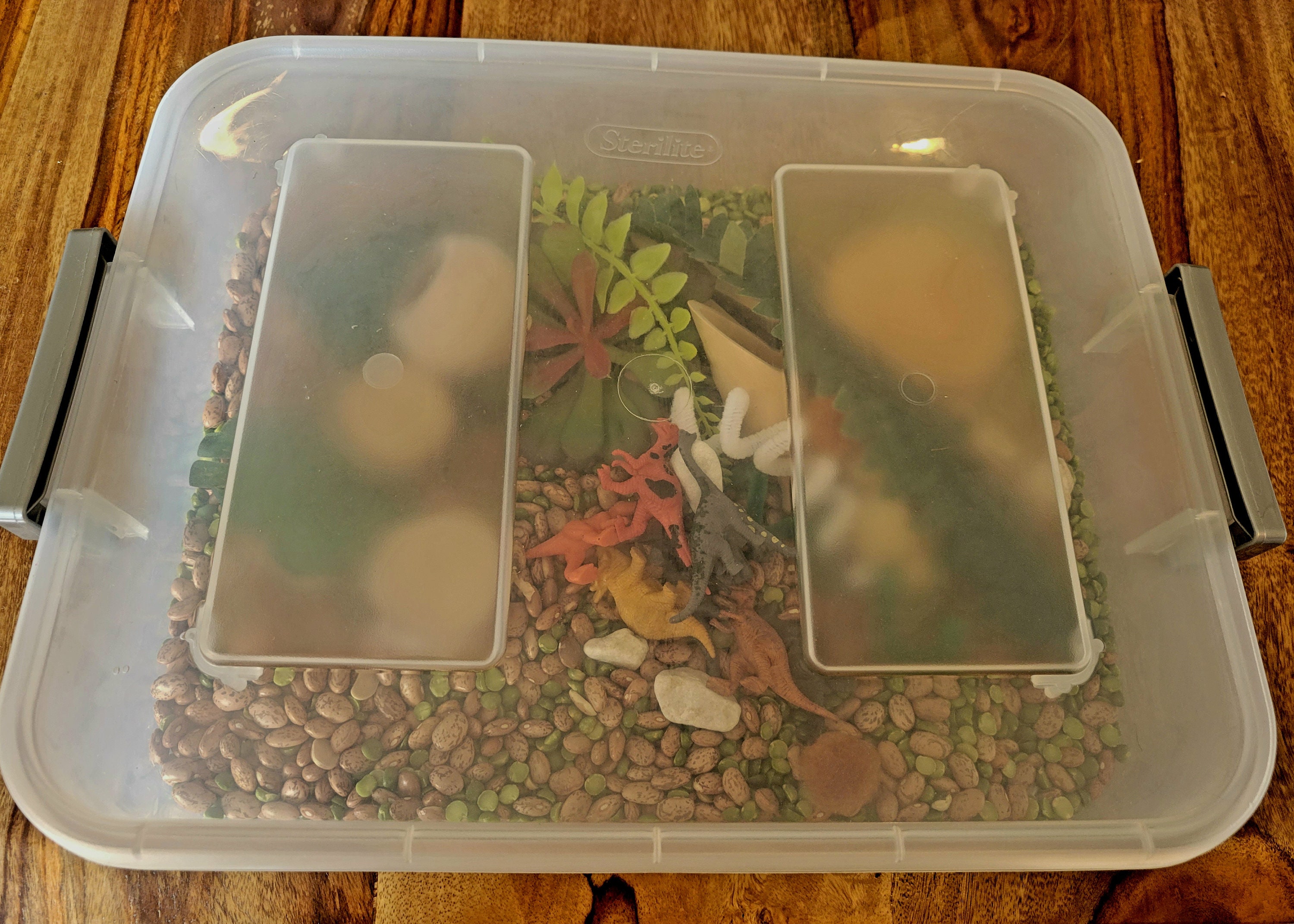 Dinosaur Sensory Bin - Etsy