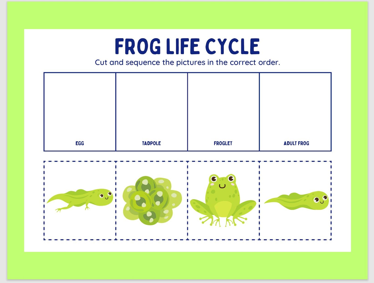 Frog Life Cycle Cut and Paste Worksheet - Etsy