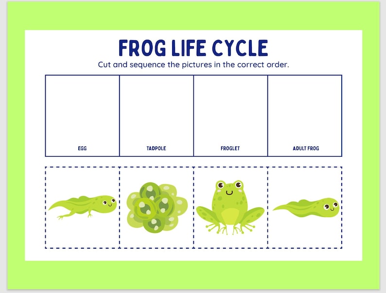 Frog Life Cycle Cut and Paste Worksheet - Etsy