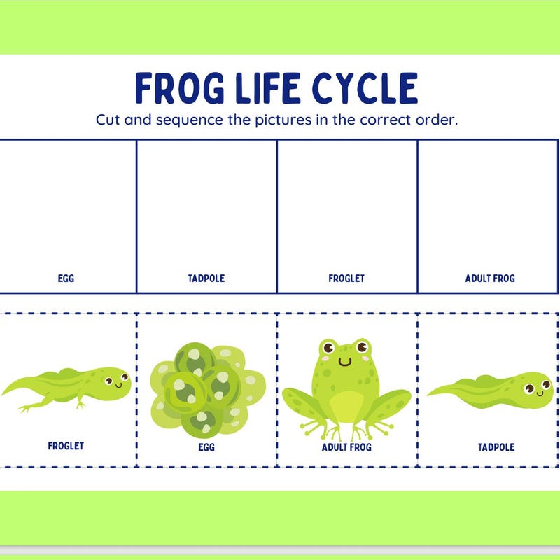 Frog Life Cycle - Etsy