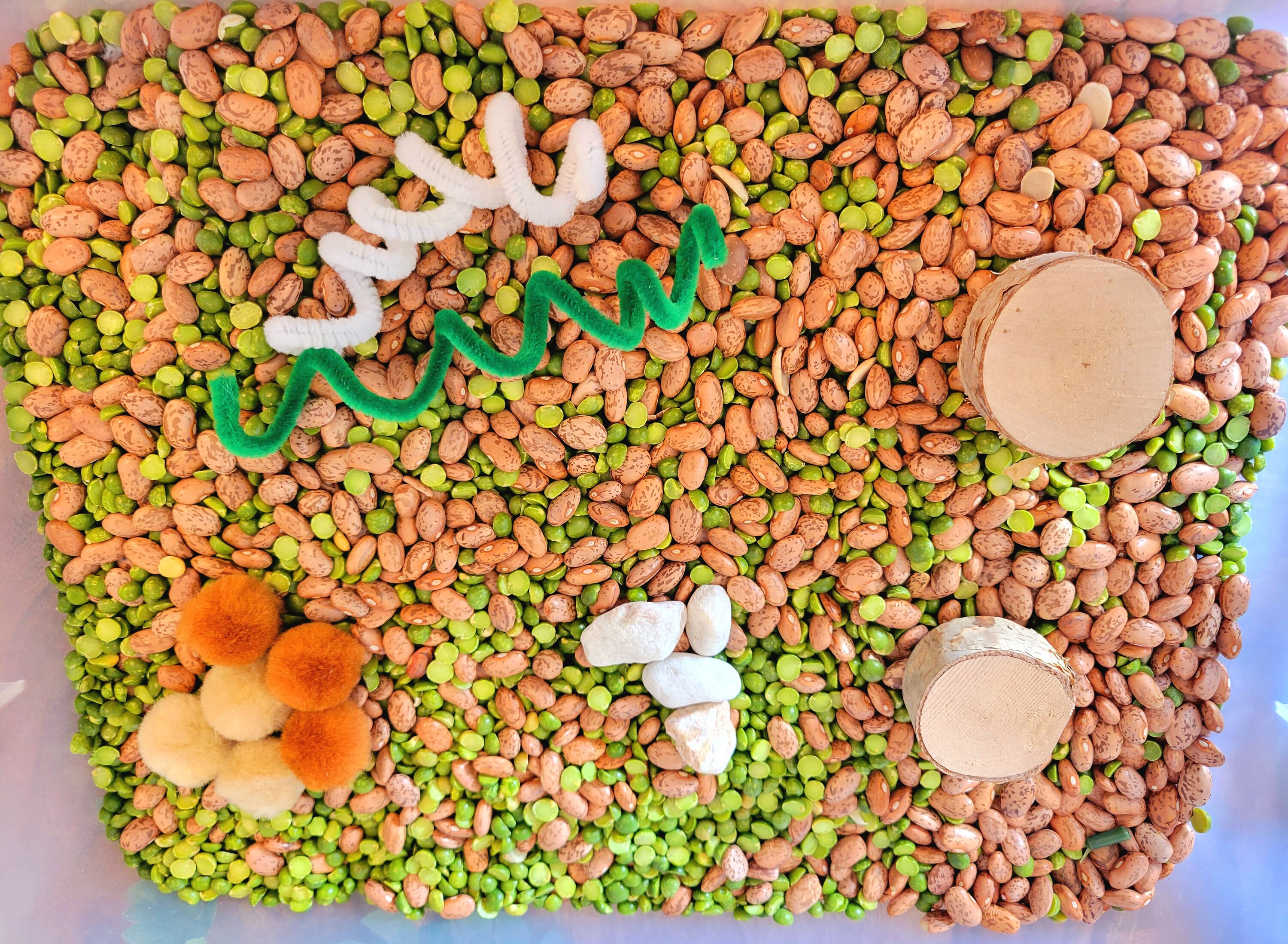 Dinosaur Sensory Bin - Etsy