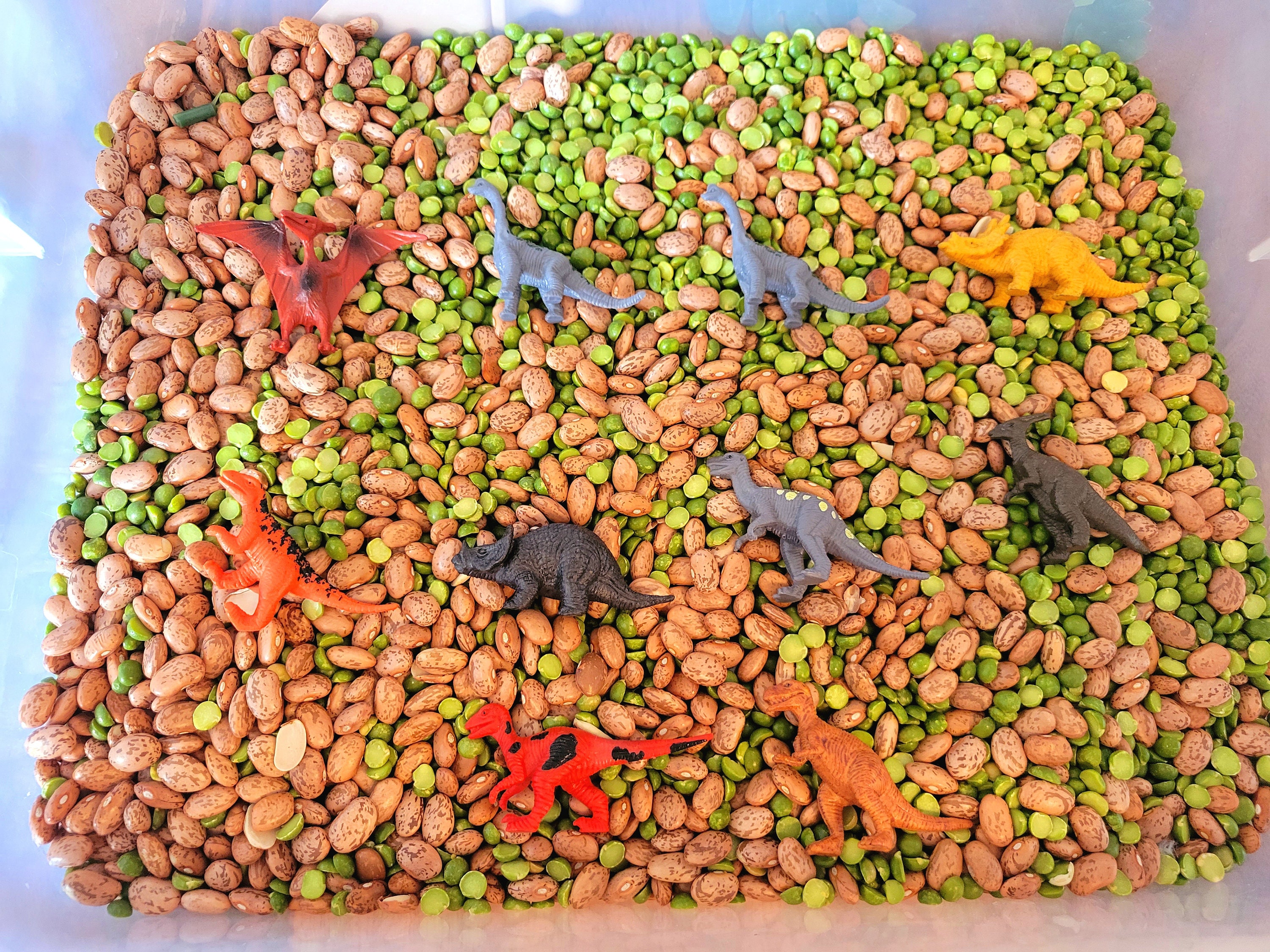 Dinosaur Sensory Bin - Etsy