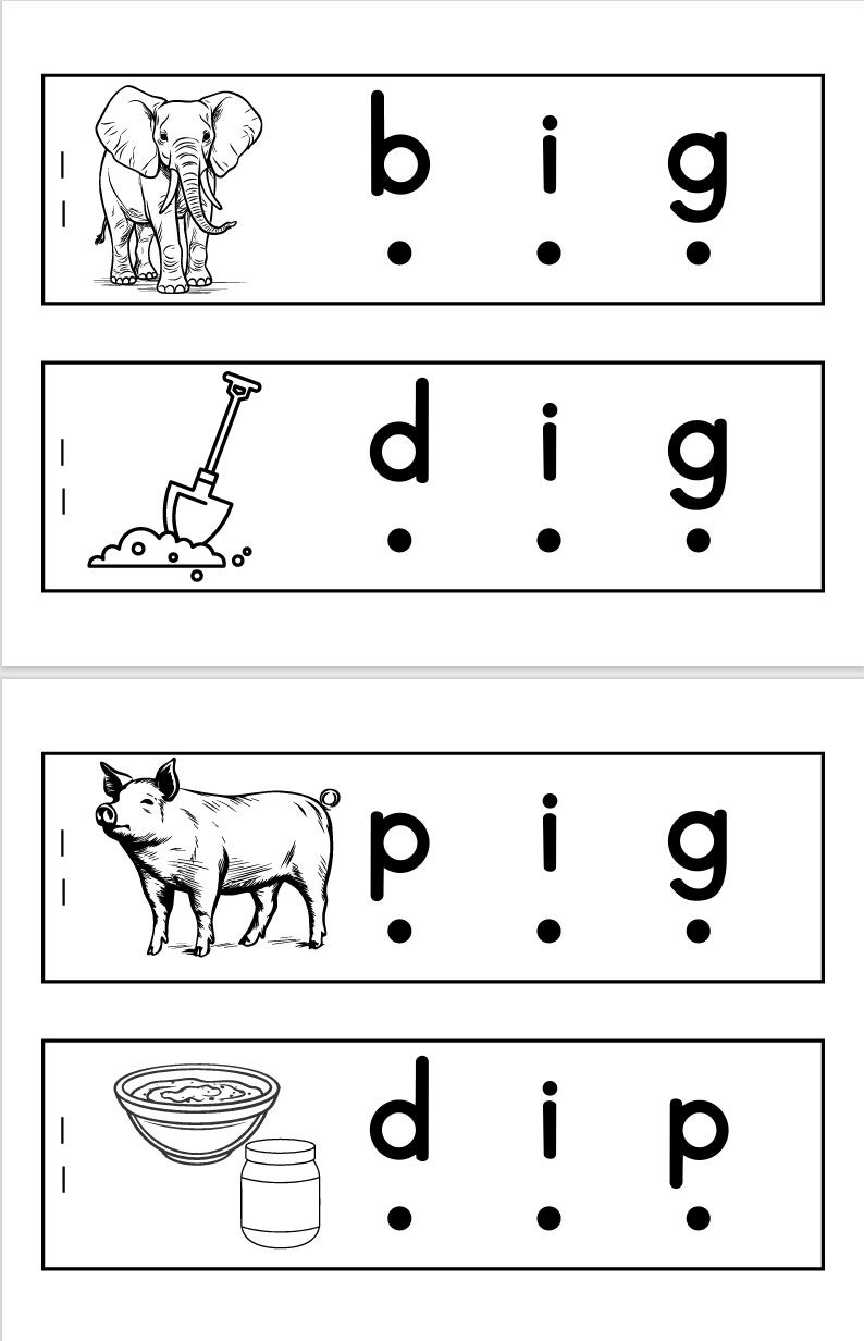 CVC Picture and Word Flipbook - Etsy