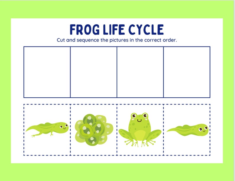 Frog Life Cycle Cut and Paste Worksheet - Etsy