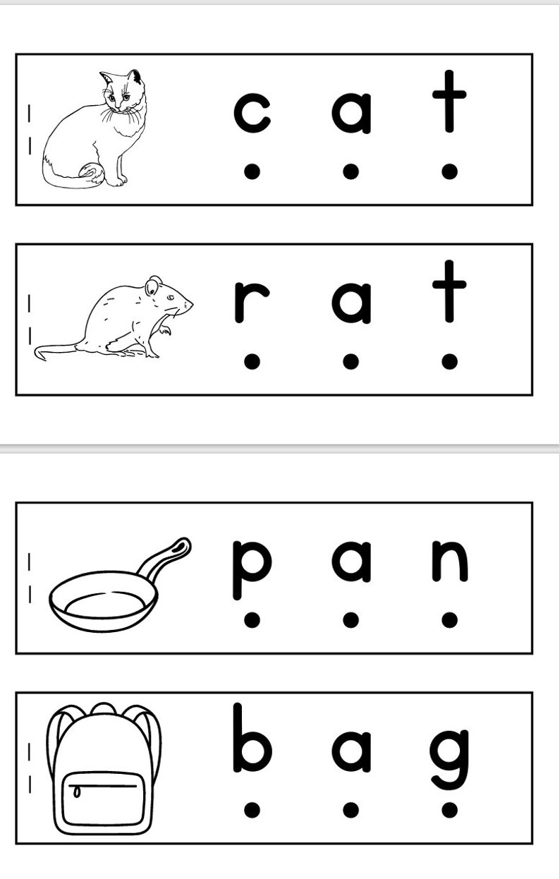 CVC Picture and Word Flipbook - Etsy