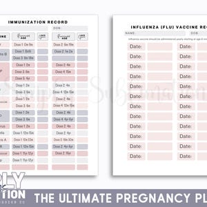 Bump to Baby Pregnancy Planner: Ultimate Printable Guide (digital ...