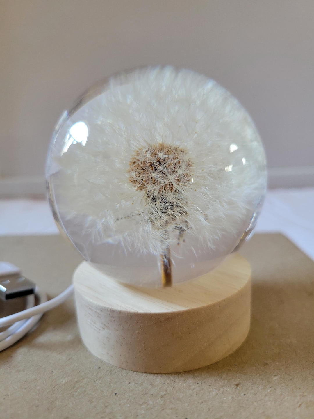 Dandelions in Resin Sphere - Etsy