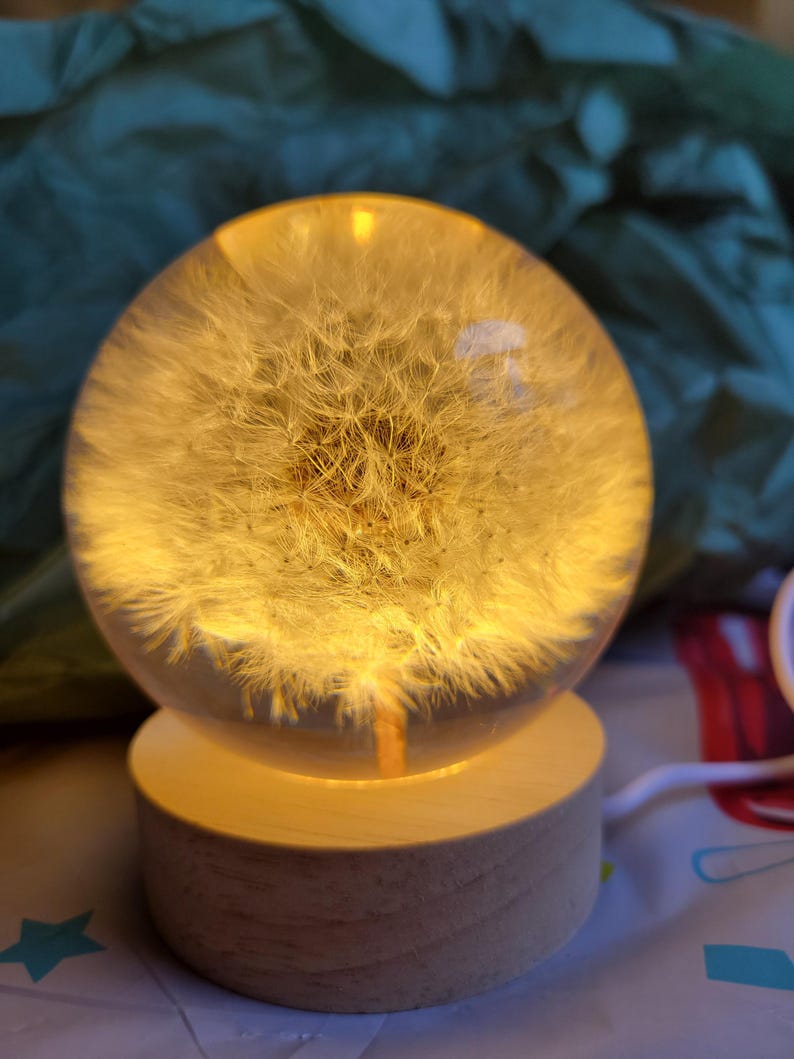 Dandelions in Resin Sphere - Etsy
