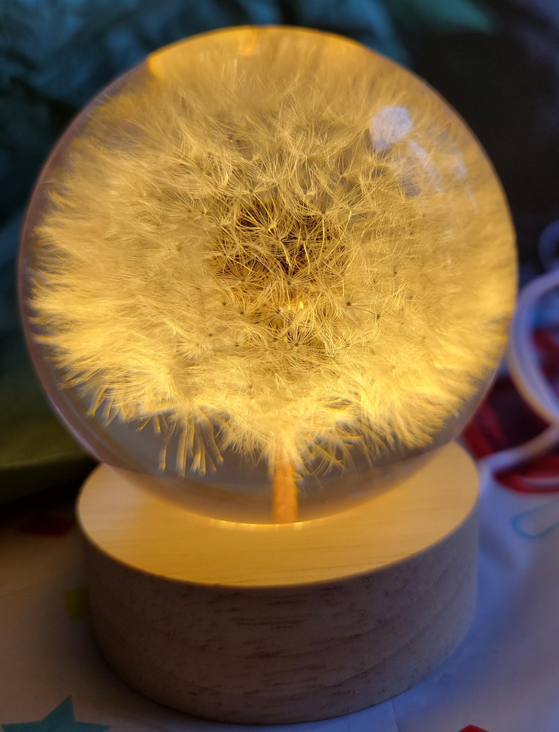 Dandelions in Resin Sphere - Etsy