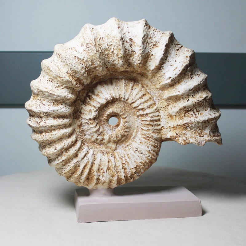 Sea Shell Sculpture - Etsy