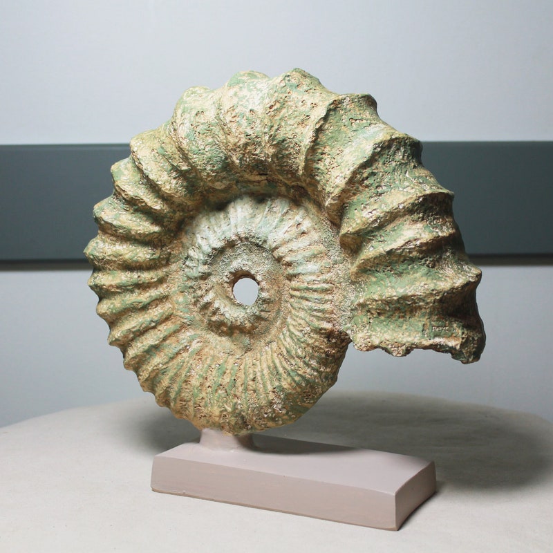 Sea Shell Sculpture - Etsy