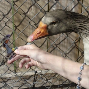 The Geese Are Here Holographic Vinyl Sticker Funny Goose Sticker - Etsy