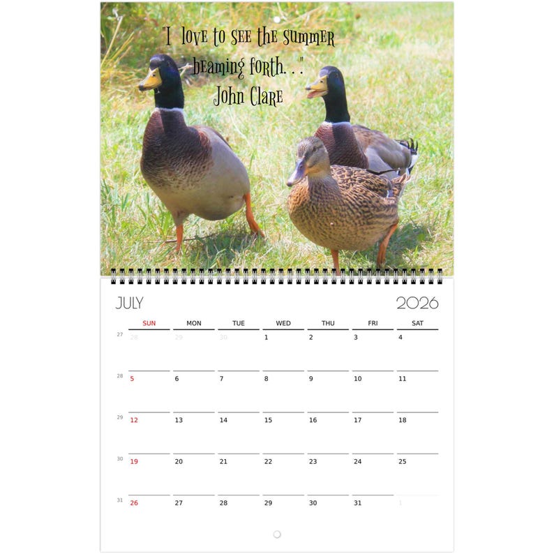 Duck Wall Calendar 2027 (US & CA) - Etsy
