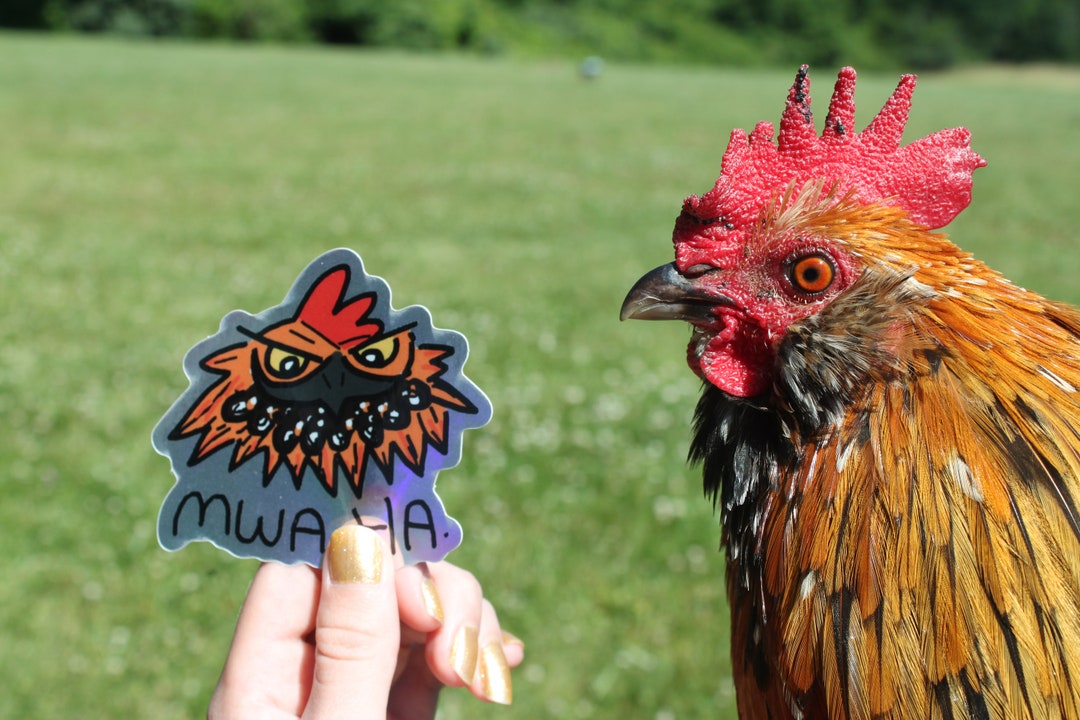 Evil Roo Holographic Vinyl Chicken Sticker, Rooster Bumper Sticker ...