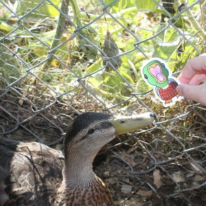 Cute Fierce Duck Vinyl Sticker - Etsy