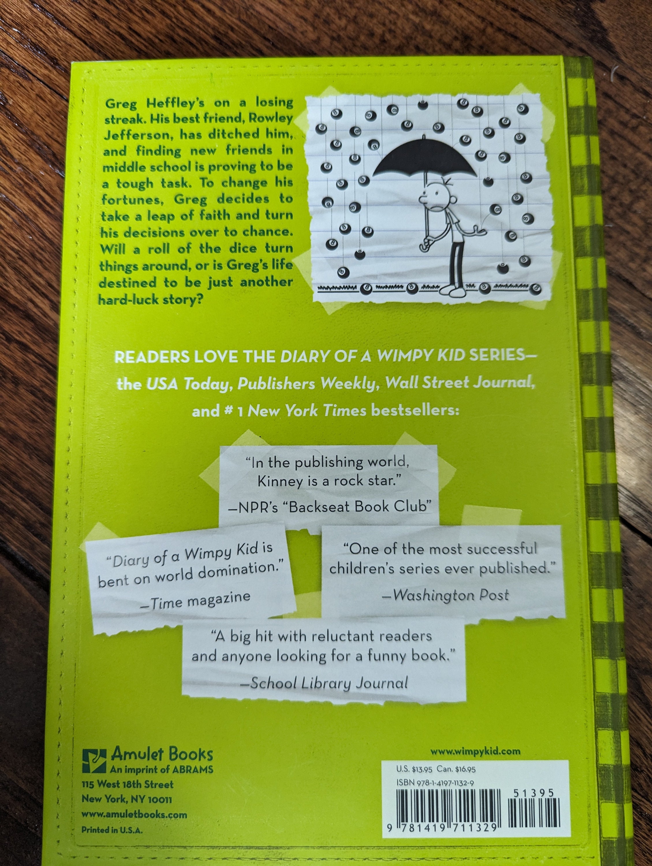 Diary of a Wimpy Kid Hard Luck - Etsy