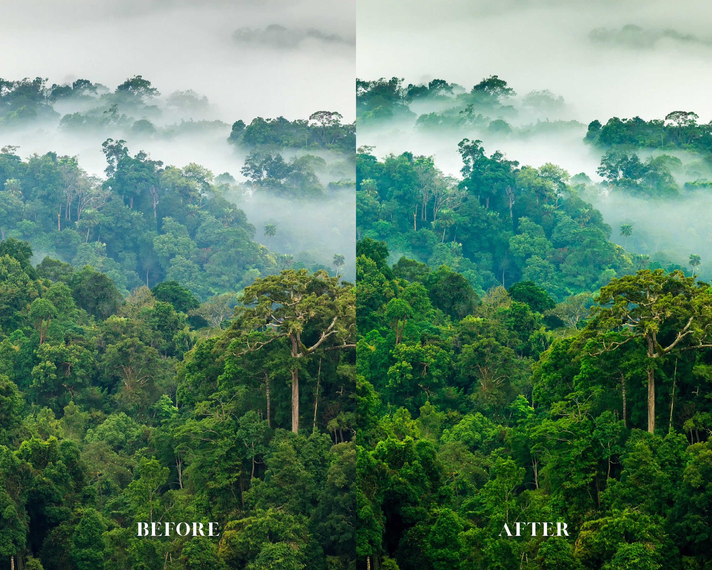 10 LIGHTROOM Presets, Deep Green Preset, Desktop & Mobile, Nature ...