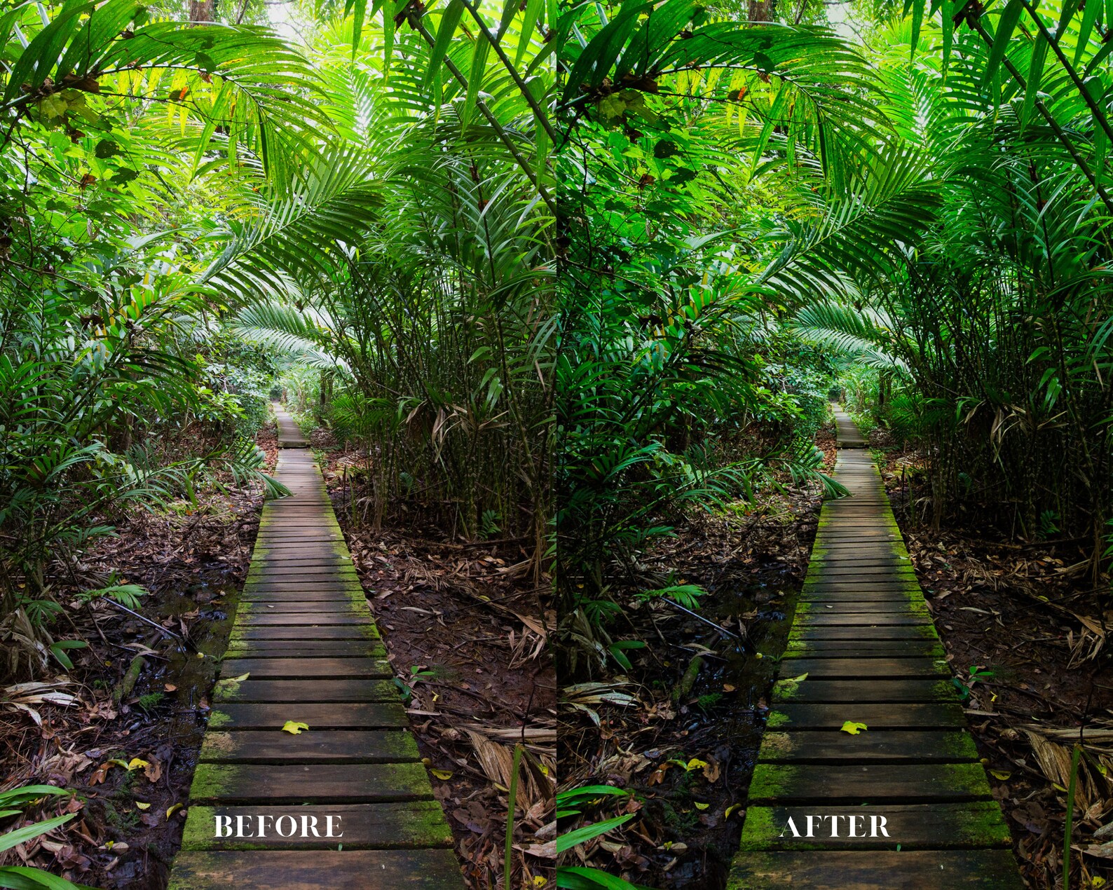 10 LIGHTROOM Presets, Deep Green Preset, Desktop & Mobile, Nature ...