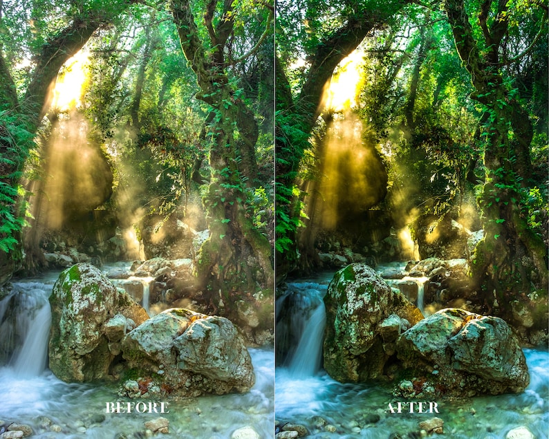 10 LIGHTROOM Presets, Deep Green Preset, Desktop & Mobile, Nature ...