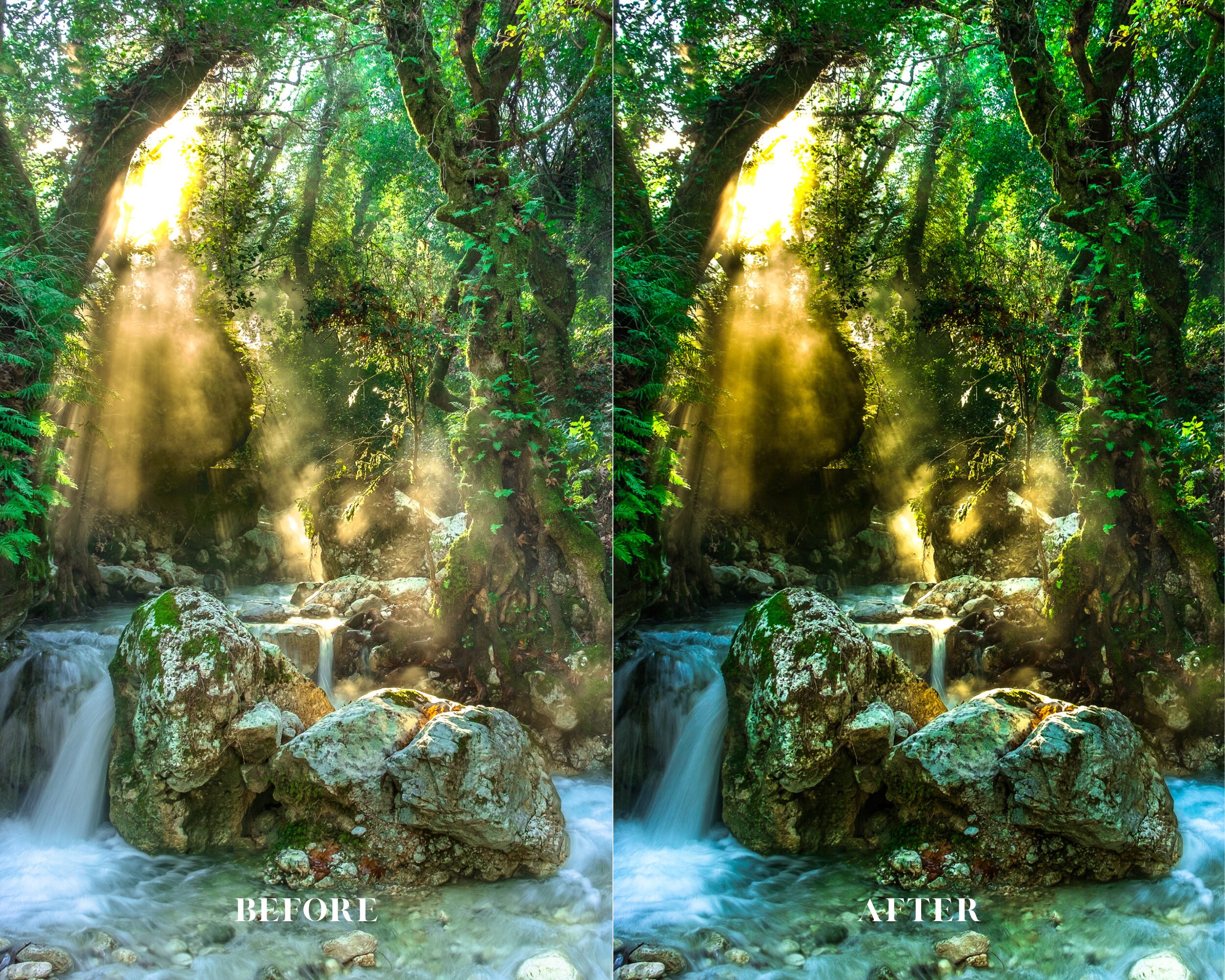 10 LIGHTROOM Presets, Deep Green Preset, Desktop & Mobile, Nature ...