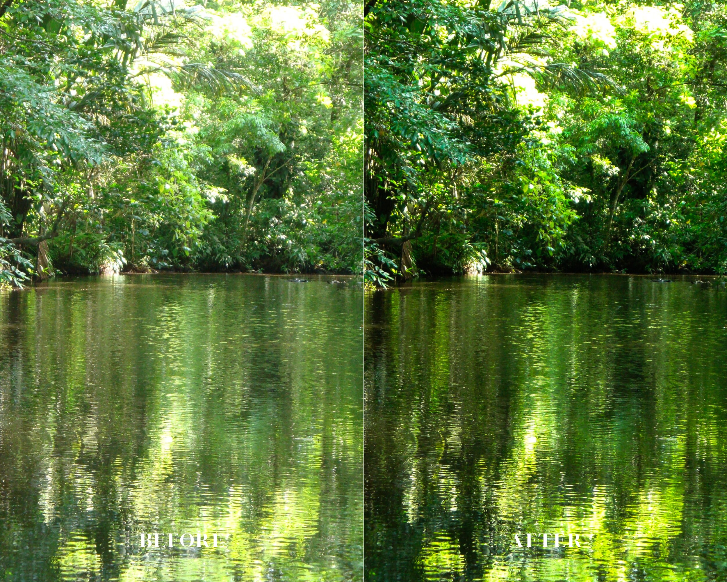 10 LIGHTROOM Presets, Deep Green Preset, Desktop & Mobile, Nature ...