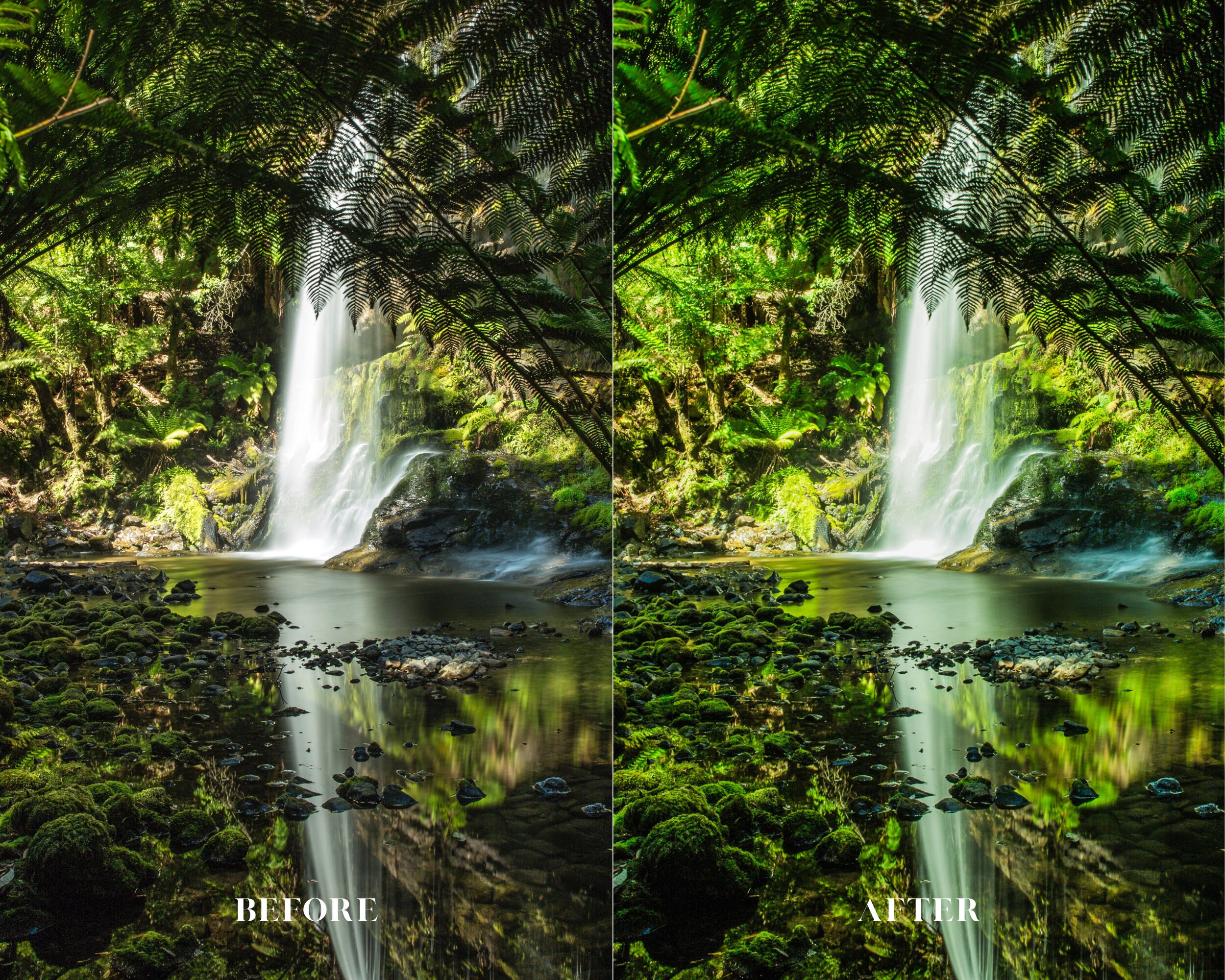 10 LIGHTROOM Presets, Deep Green Preset, Desktop & Mobile, Nature ...