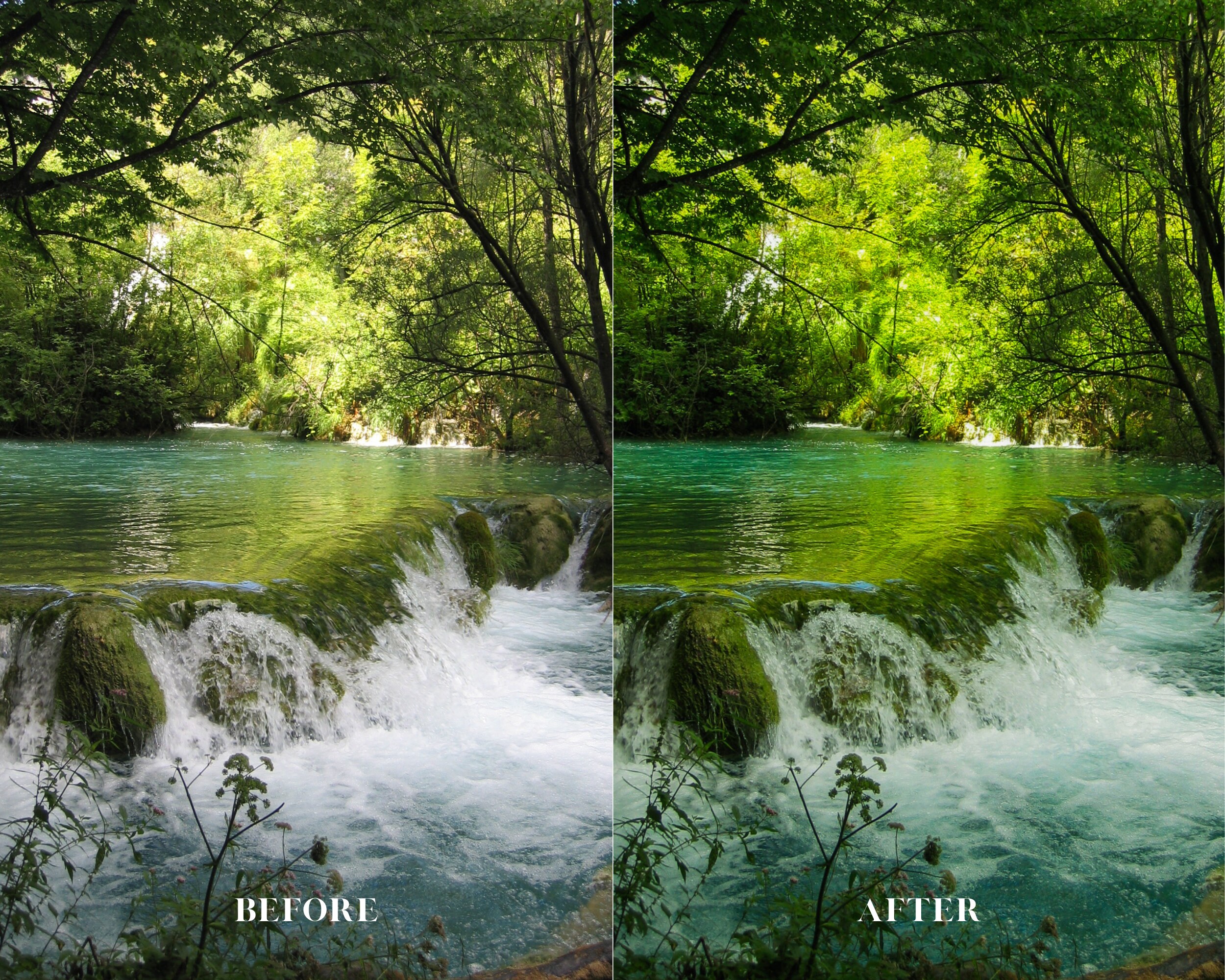 10 LIGHTROOM Presets, Deep Green Preset, Desktop & Mobile, Nature ...