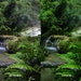 10 LIGHTROOM Presets, Deep Green Preset, Desktop & Mobile, Nature ...
